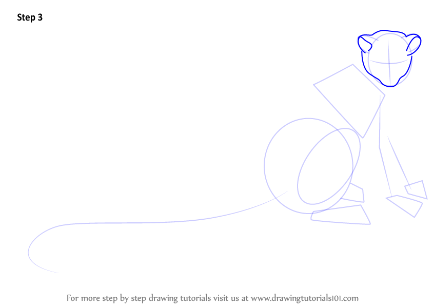 Learn How to Draw a Ring-Tailed Lemur (Lemurs) Step by Step : Drawing ...