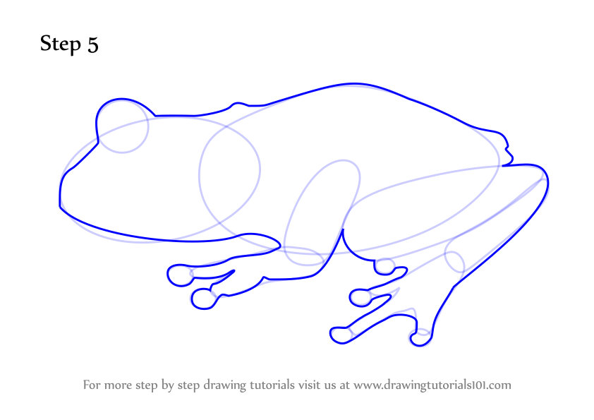 How to Draw a Frog (Amphibians) Step by Step | DrawingTutorials101.com