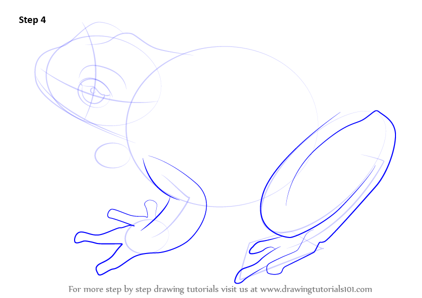 How to Draw a Lemon-Yellow Tree Frog (Amphibians) Step by Step | DrawingTutorials101.com