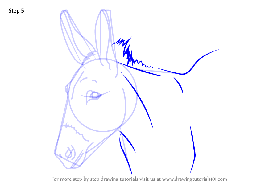 How to Draw a Donkey Face (Animal Faces) Step by Step | DrawingTutorials101.com