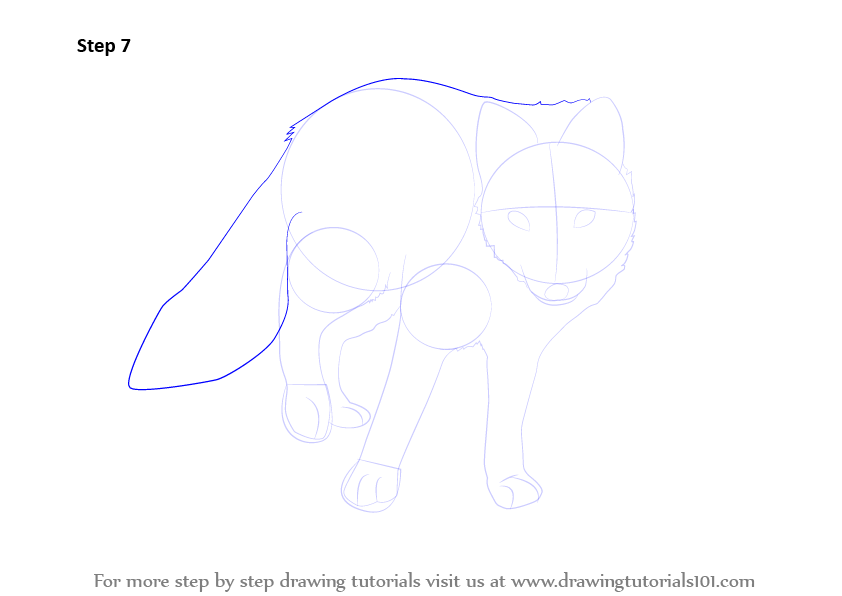 How to Draw a Arctic Fox (Antarctic Animals) Step by Step ...