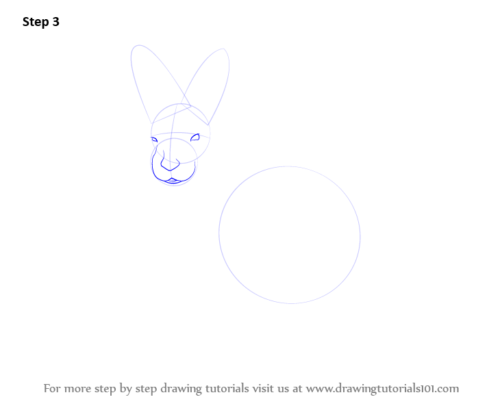 Arctic Hare Drawing Step By Step How To Draw A Snowshoe Hare VIDEO