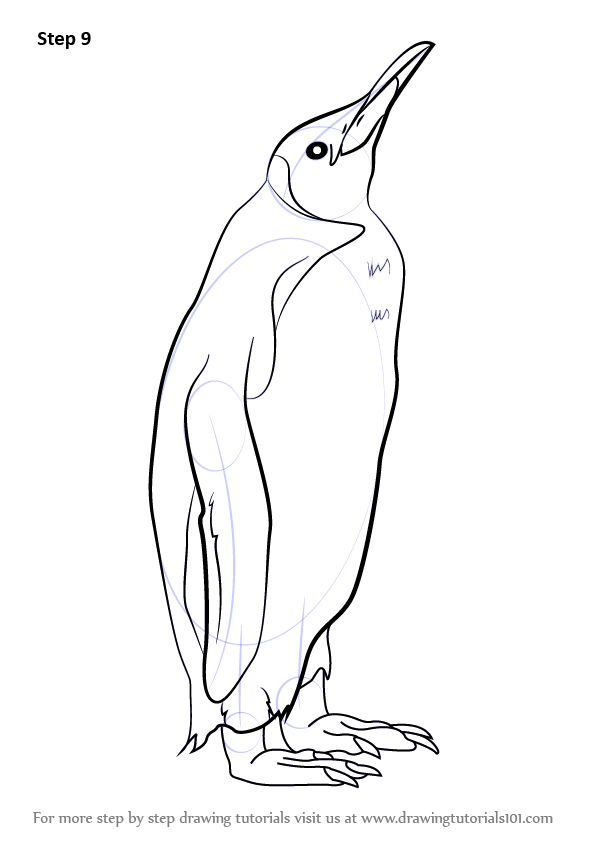 How to Draw a King Penguin (Antarctic Animals) Step by Step ...