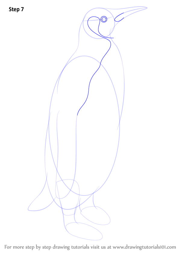 How to Draw a Penguin (Antarctic Animals) Step by Step ...