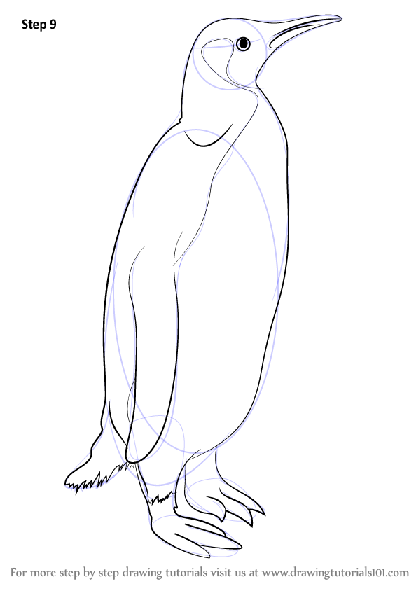How to Draw a Penguin (Antarctic Animals) Step by Step ...