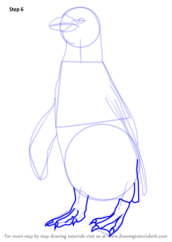 How to Draw Penguin Standing (Antarctic Animals) Step by Step ...