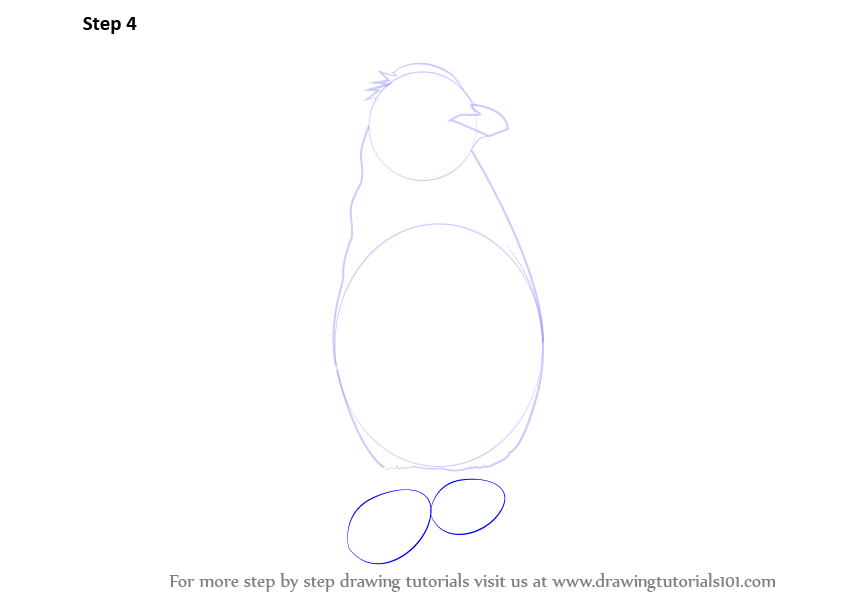 How to Draw a Rockhopper Penguin (Antarctic Animals) Step by Step ...