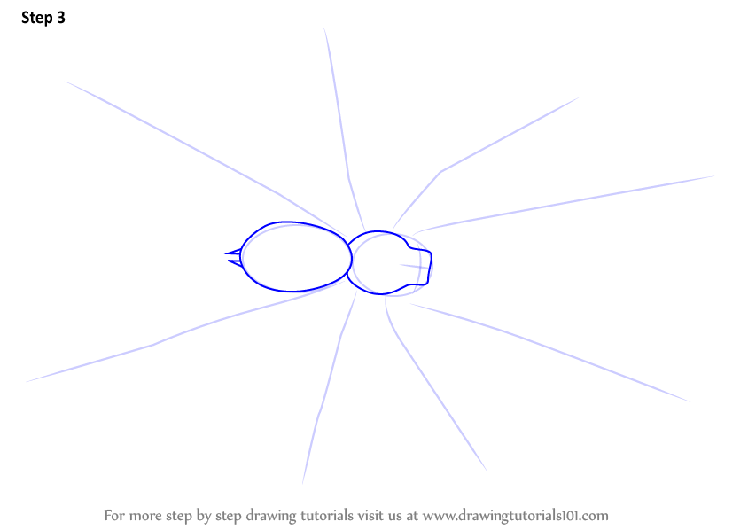 How to Draw a House Spider (Arachnids) Step by Step ...