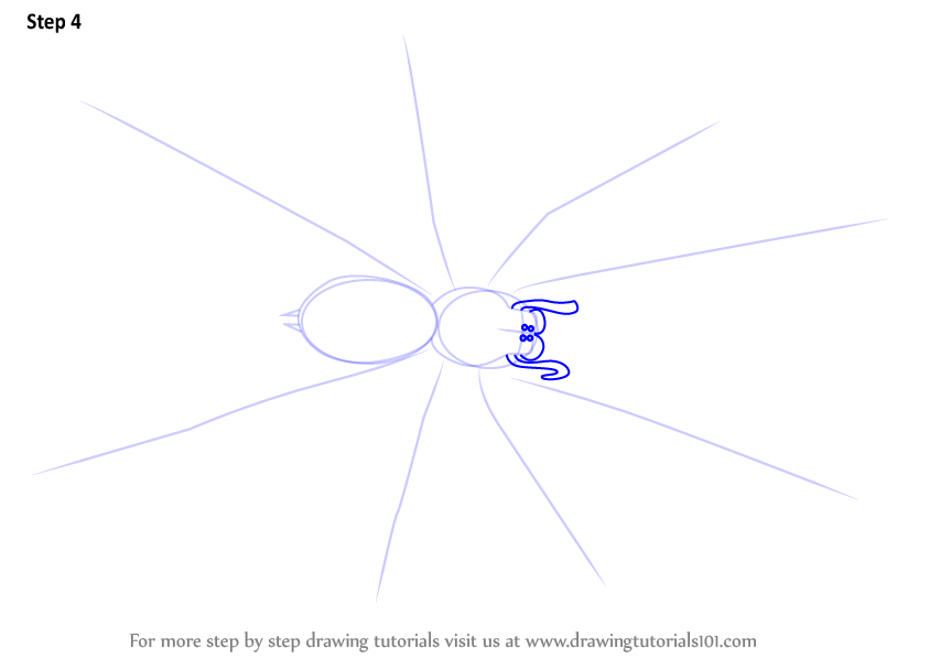 How to Draw a House Spider (Arachnids) Step by Step ...