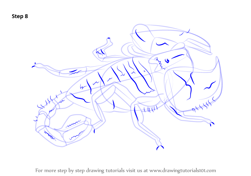 How to Draw a Scorpion (Arachnids) Step by Step | DrawingTutorials101.com