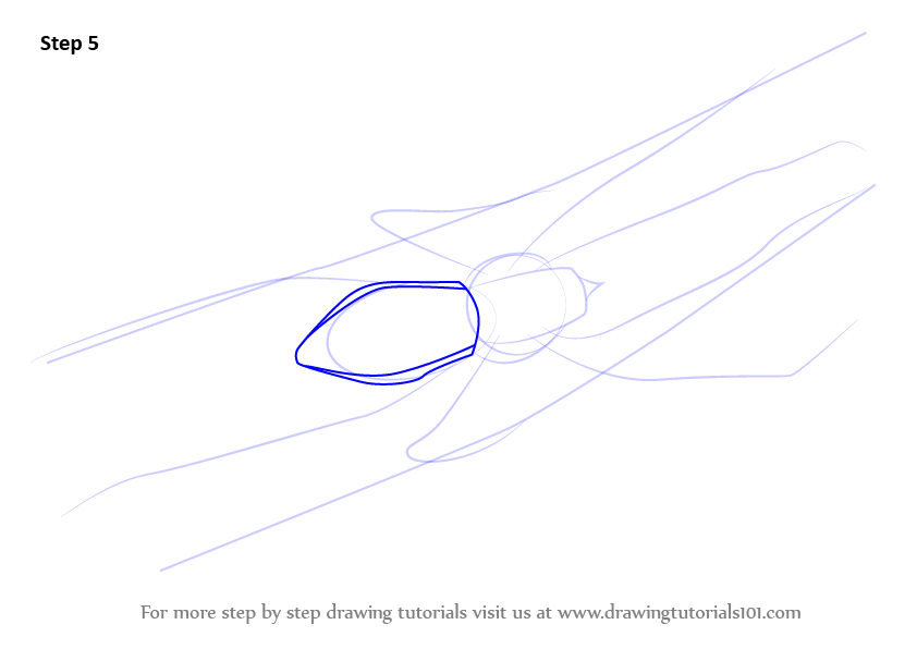 How to Draw a Water Spider (Arachnids) Step by Step ...
