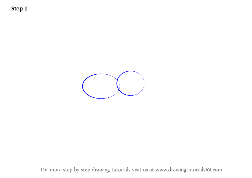 How to Draw a Wolf Spider (Arachnids) Step by Step ...