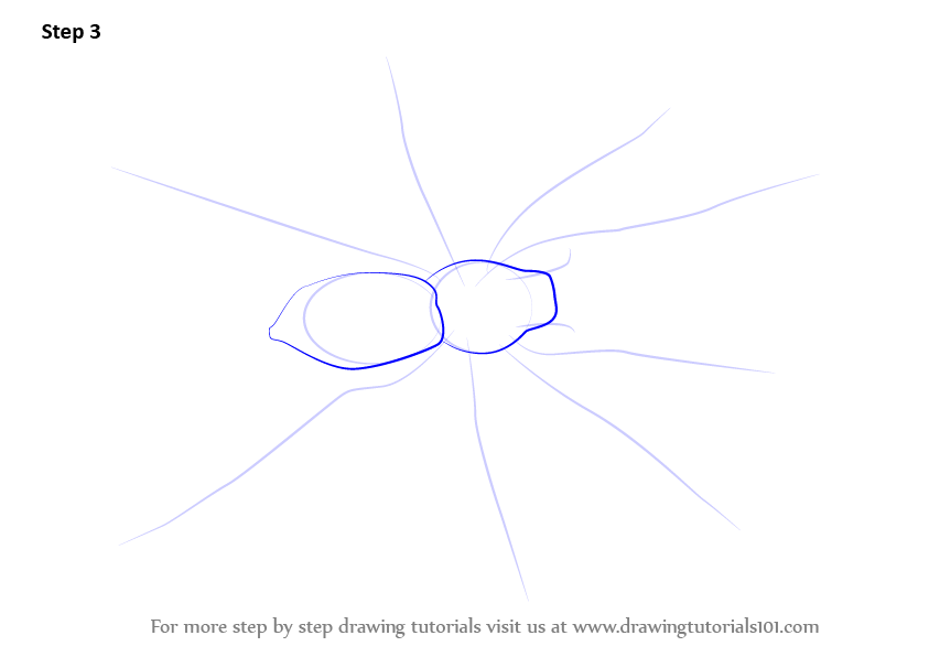 How to Draw a Wolf Spider (Arachnids) Step by Step ...