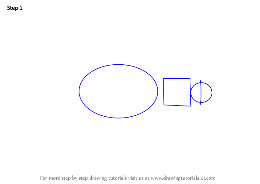 How to Draw a Ground Beetle (Beetles) Step by Step ...