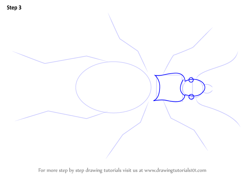 How to Draw a Ground Beetle (Beetles) Step by Step ...