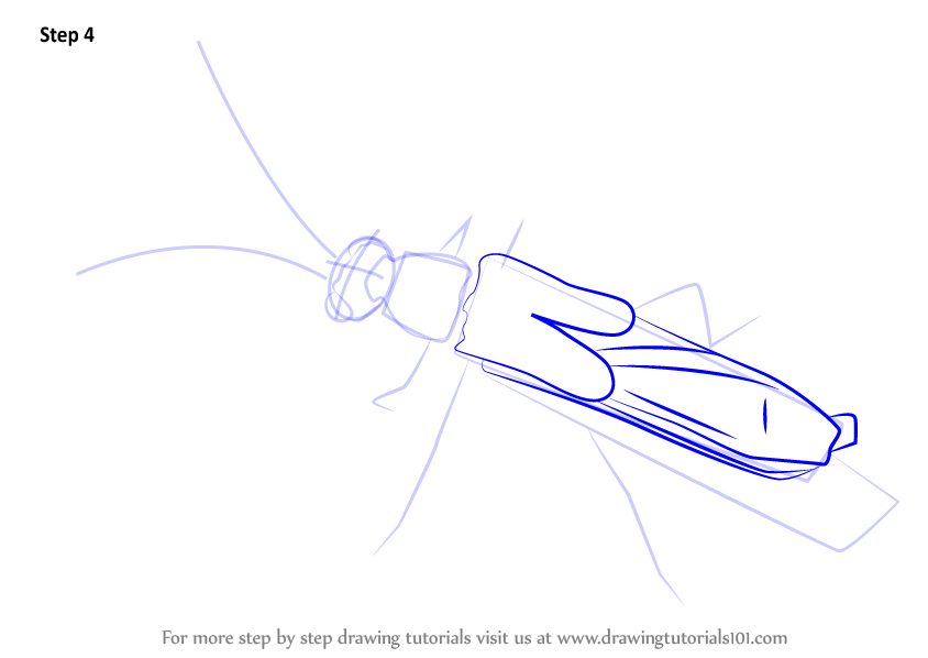 How to Draw a Soldier Beetle (Beetles) Step by Step ...