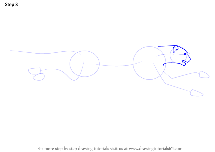 How to Draw a Cheetah Running (Big Cats) Step by Step ...