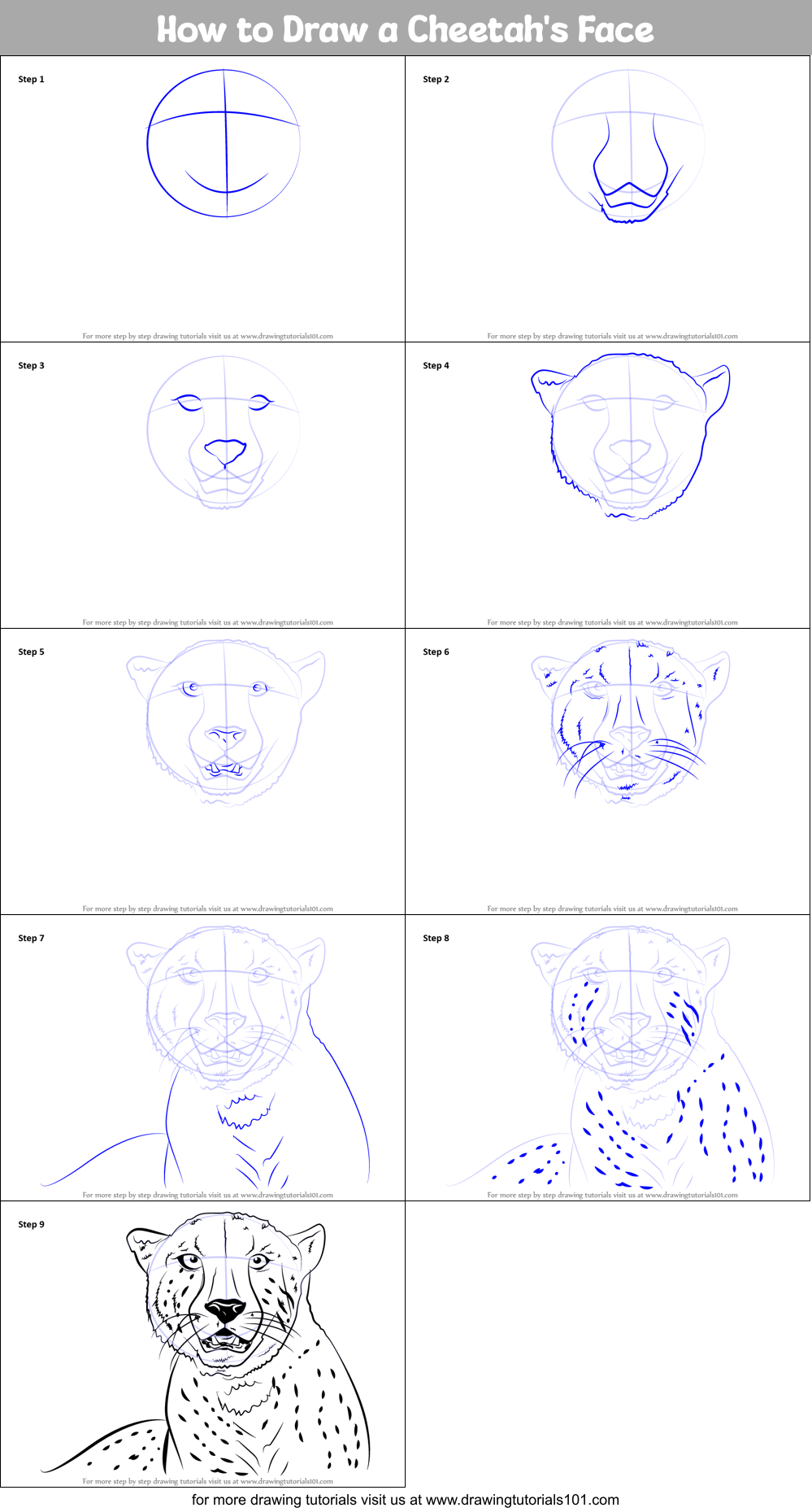 How To Draw A Cheetah s Face Printable Step By Step Drawing Sheet