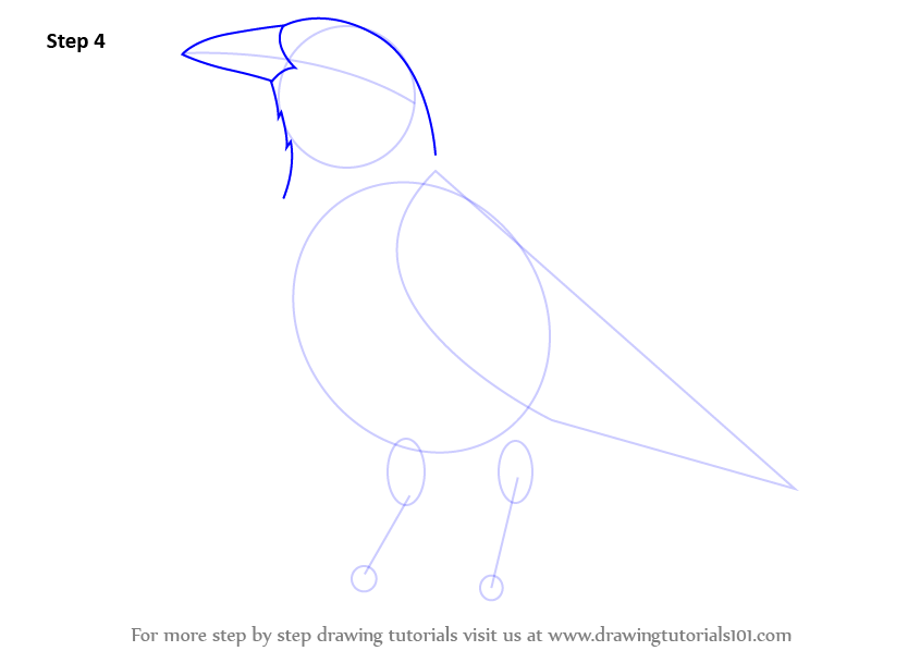 How To Draw Crow Feet