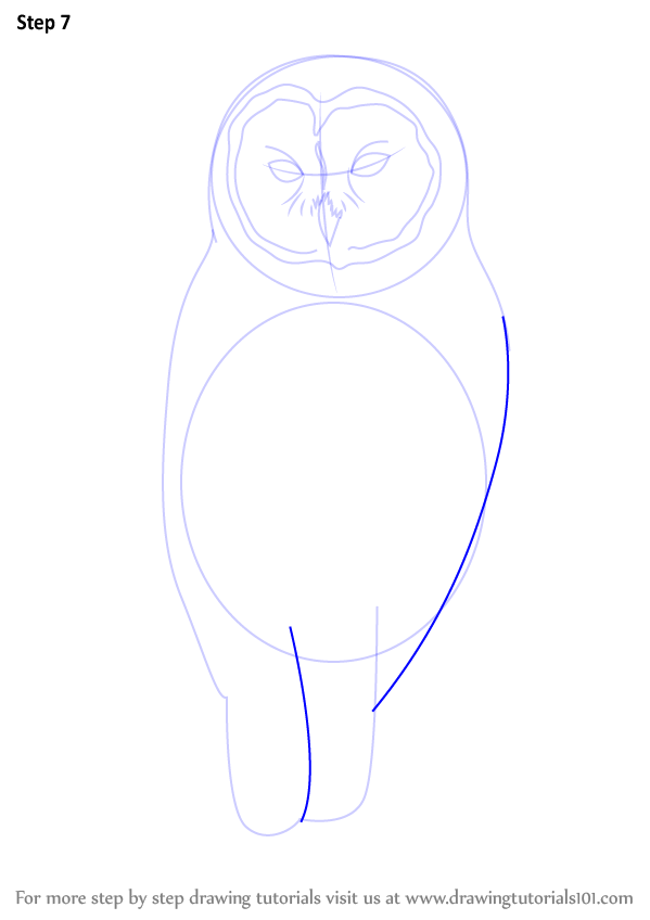 How To Draw Owl Bird