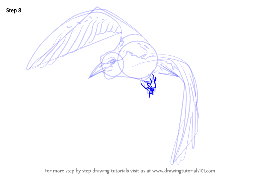 How to Draw a Bird In Flight (Birds) Step by Step | DrawingTutorials101.com