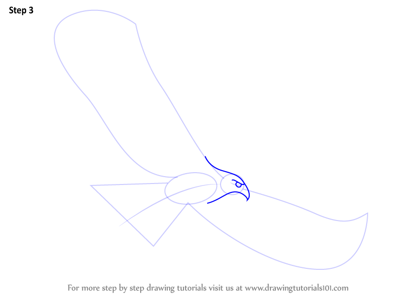 How to Draw a Black Eagle (Birds) Step by Step | DrawingTutorials101.com