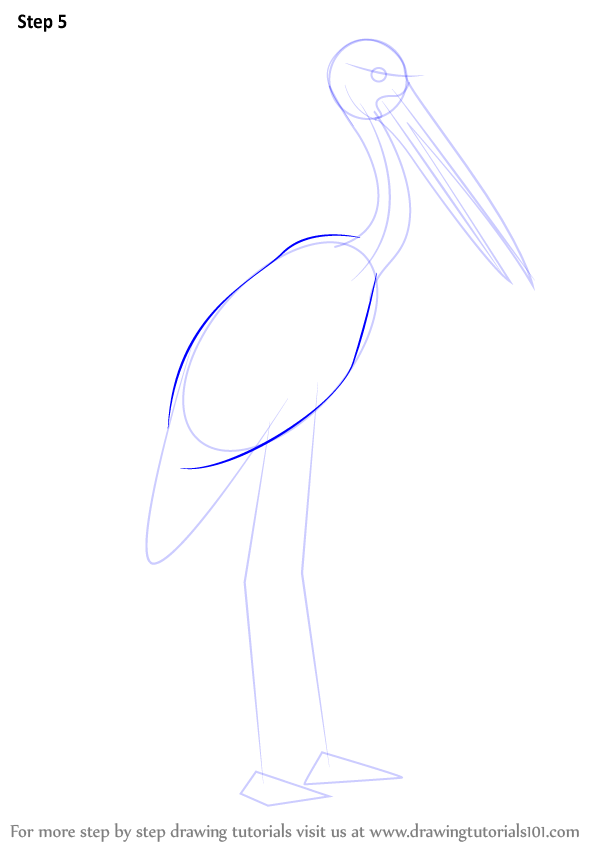 How to Draw a Black-Necked Stork (Birds) Step by Step ...
