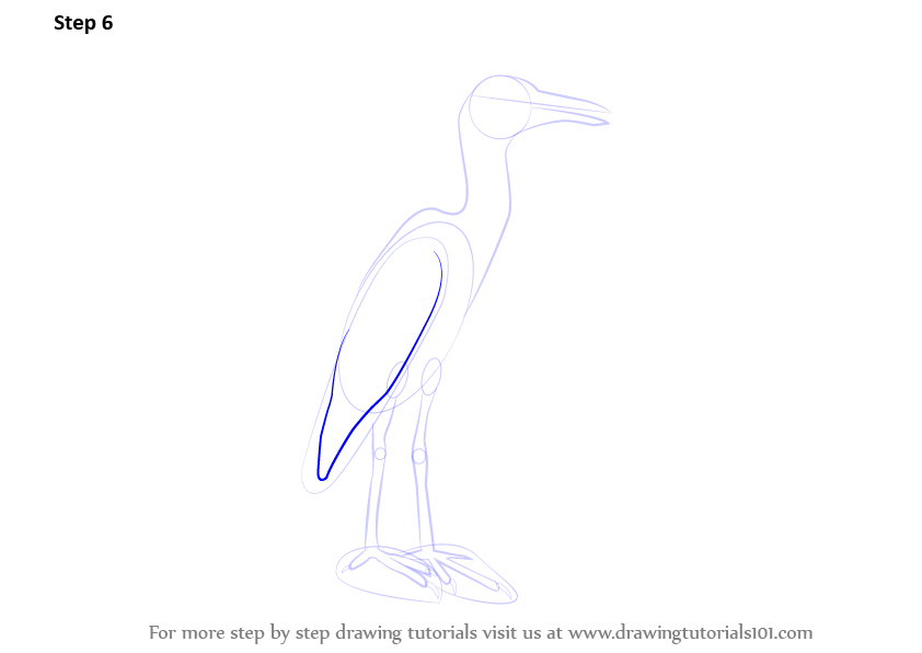 How to Draw a Cattle egret (Birds) Step by Step | DrawingTutorials101.com