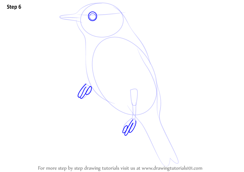 How to Draw a Chiffchaff (Birds) Step by Step | DrawingTutorials101.com