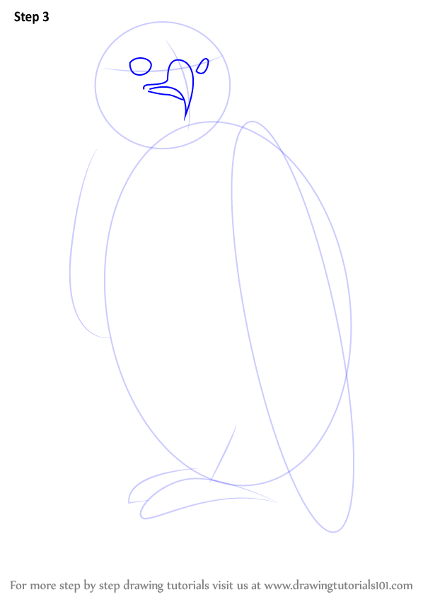 How to Draw a Common Buzzard (Birds) Step by Step | DrawingTutorials101.com