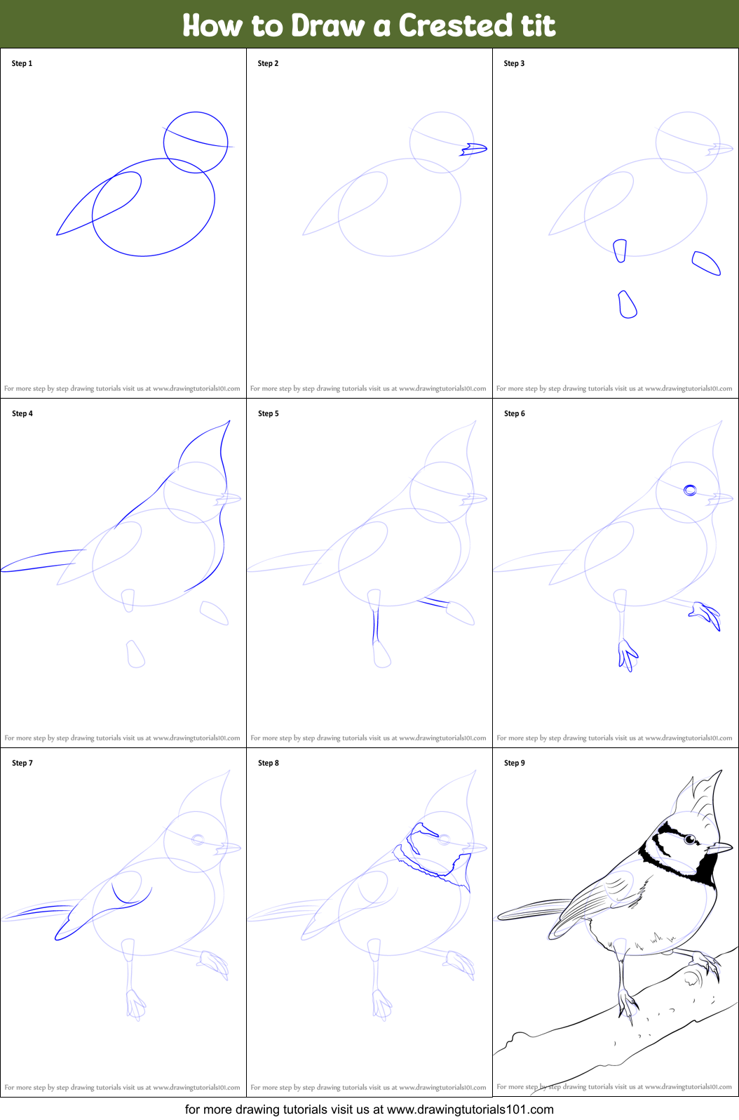 How to Draw a Crested tit (Birds) Step by Step | DrawingTutorials101.com