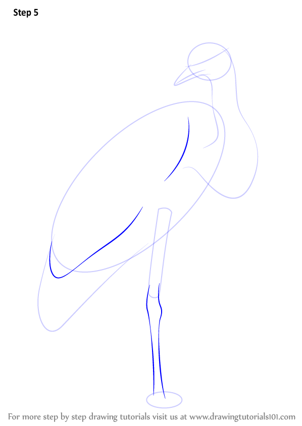 How to Draw a Crowned Crane (Birds) Step by Step | DrawingTutorials101.com