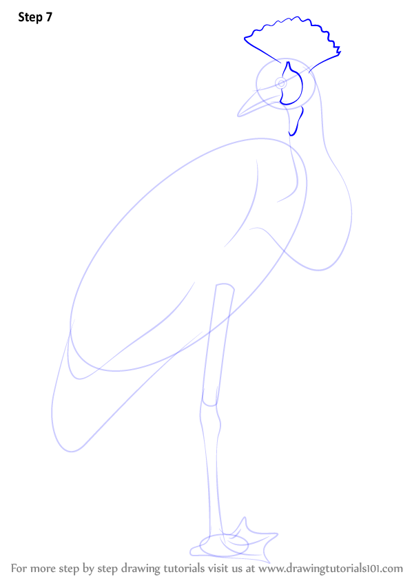 How to Draw a Crowned Crane (Birds) Step by Step | DrawingTutorials101.com