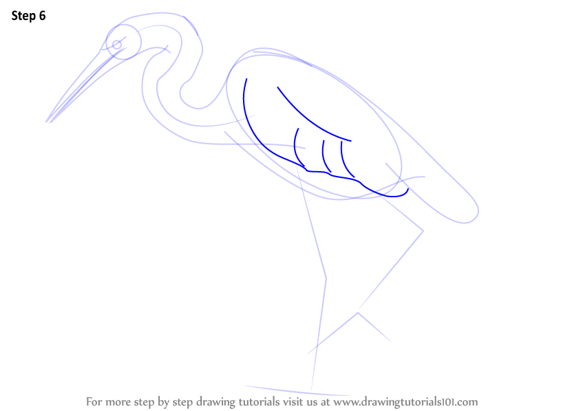 How to Draw a Great Egret (Birds) Step by Step | DrawingTutorials101.com