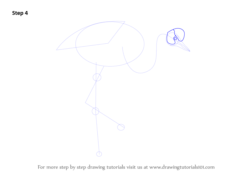 How to Draw a Grey Crowned Crane (Birds) Step by Step ...