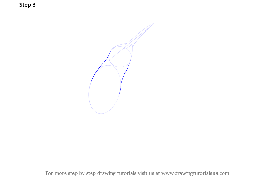 How to Draw a Hummingbird (Birds) Step by Step | DrawingTutorials101.com