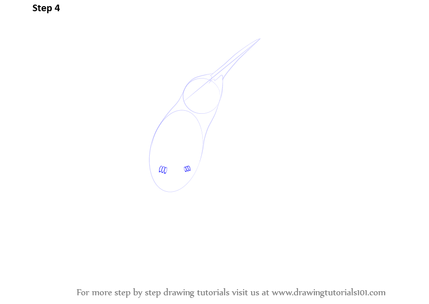 How to Draw a Hummingbird (Birds) Step by Step | DrawingTutorials101.com