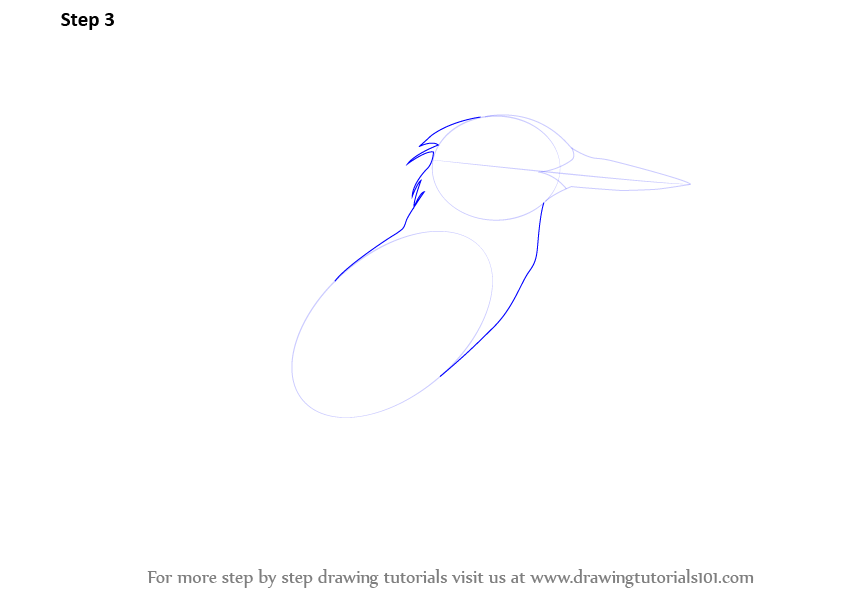 How to Draw a Kingfisher (Birds) Step by Step | DrawingTutorials101.com