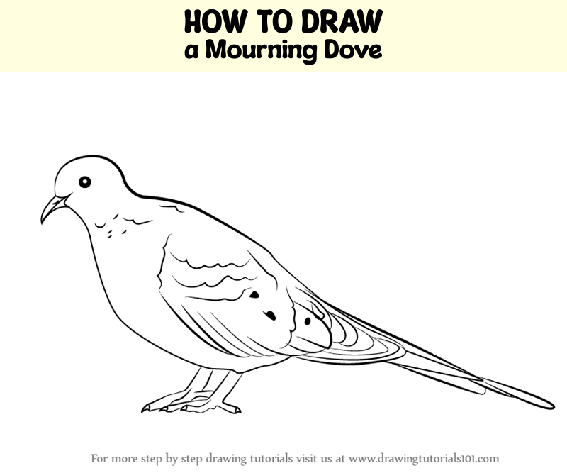 Mourning Dove Coloring Page Dove Coloring Pages – Coloring.rocks!