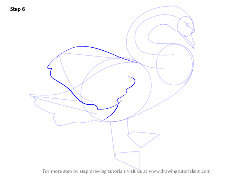 How to Draw a Mute Swan (Birds) Step by Step | DrawingTutorials101.com