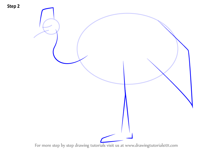 How to Draw a Southern Cassowary (Birds) Step by Step ...
