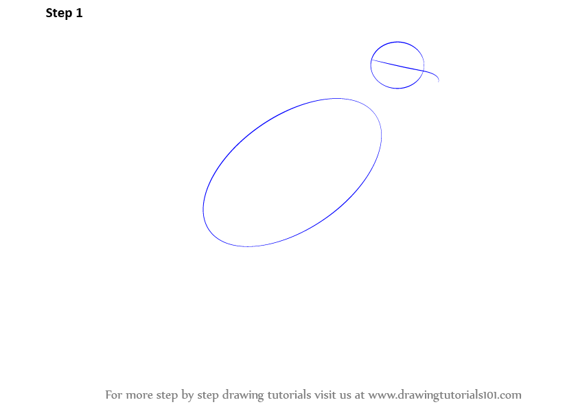How to Draw a Sparrowhawk (Birds) Step by Step | DrawingTutorials101.com