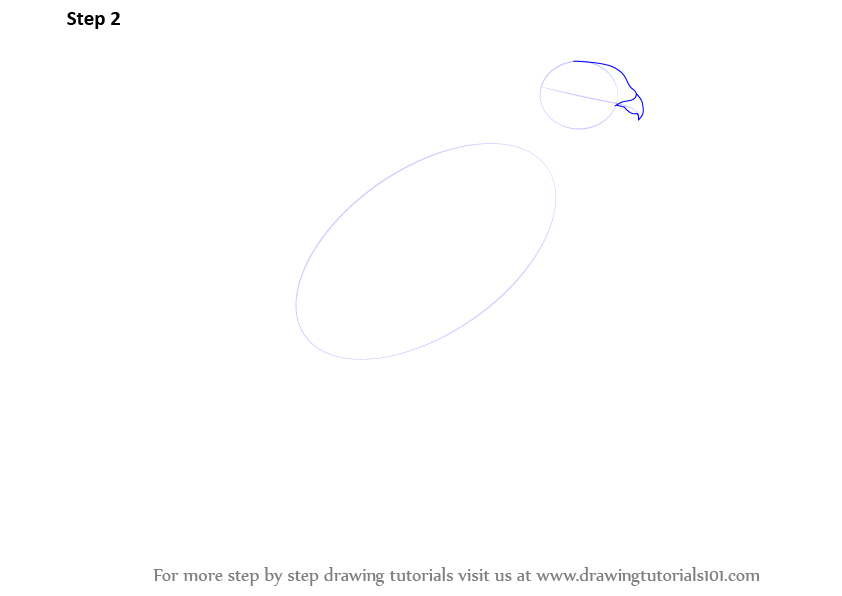 How to Draw a Sparrowhawk (Birds) Step by Step | DrawingTutorials101.com