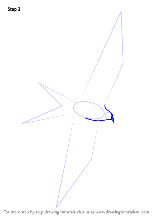 How to Draw a Swallow-Tailed Kite (Birds) Step by Step ...