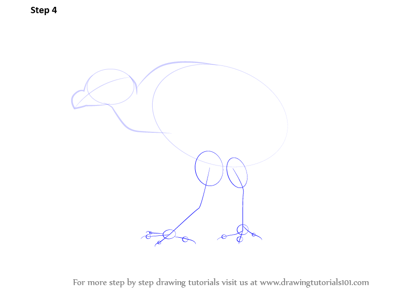 How to Draw a Vulture (Birds) Step by Step | DrawingTutorials101.com