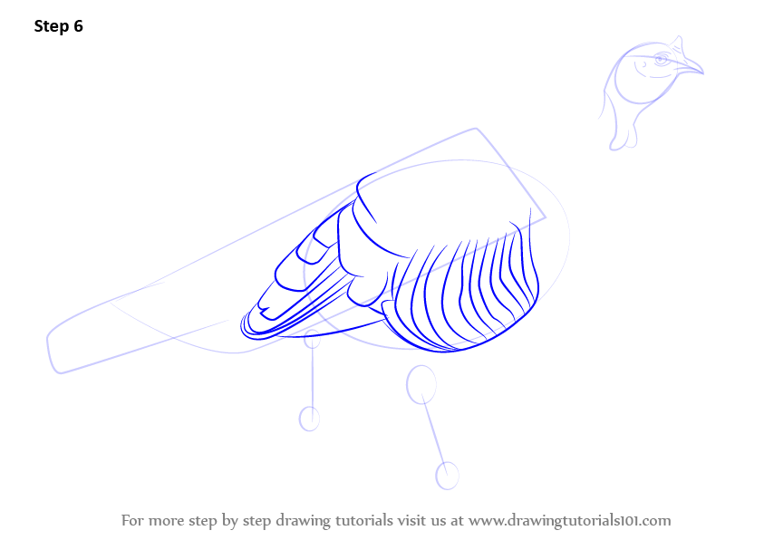 How to Draw a Wild Turkey (Birds) Step by Step | DrawingTutorials101.com