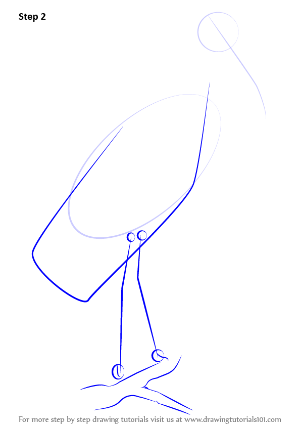 How to Draw a Wood Stork (Birds) Step by Step | DrawingTutorials101.com
