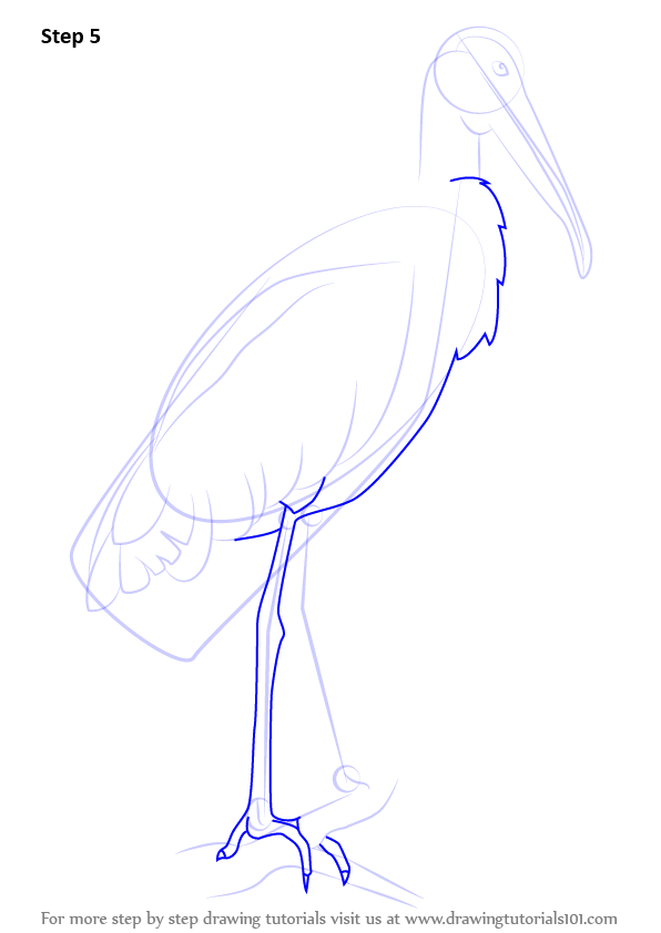 How to Draw a Wood Stork (Birds) Step by Step | DrawingTutorials101.com