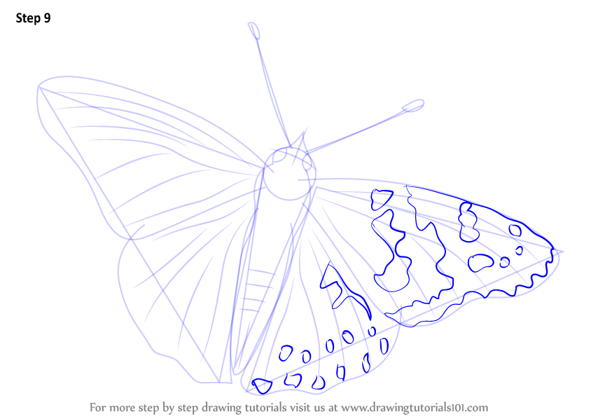 How to Draw a Painted Lady (Butterflies) Step by Step ...