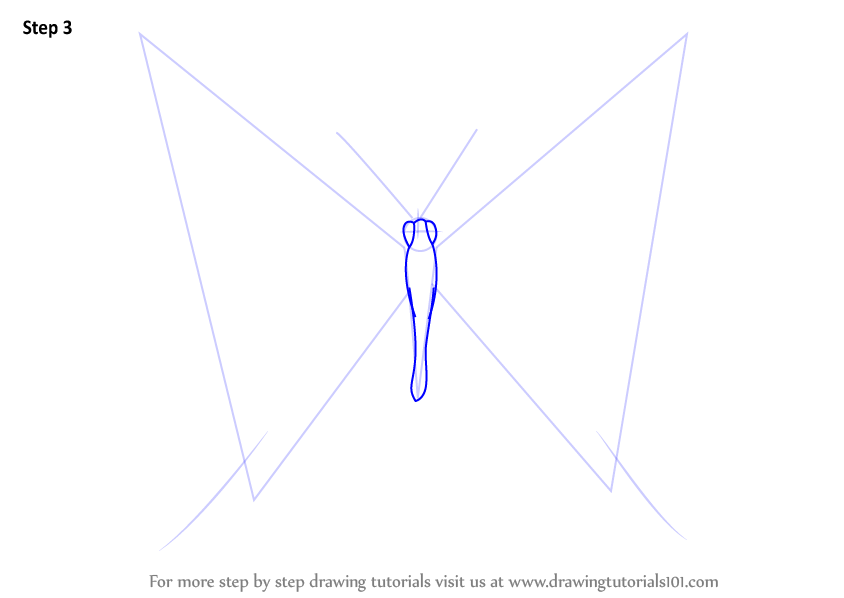 How to Draw a Papilio Butterfly (Butterflies) Step by Step ...